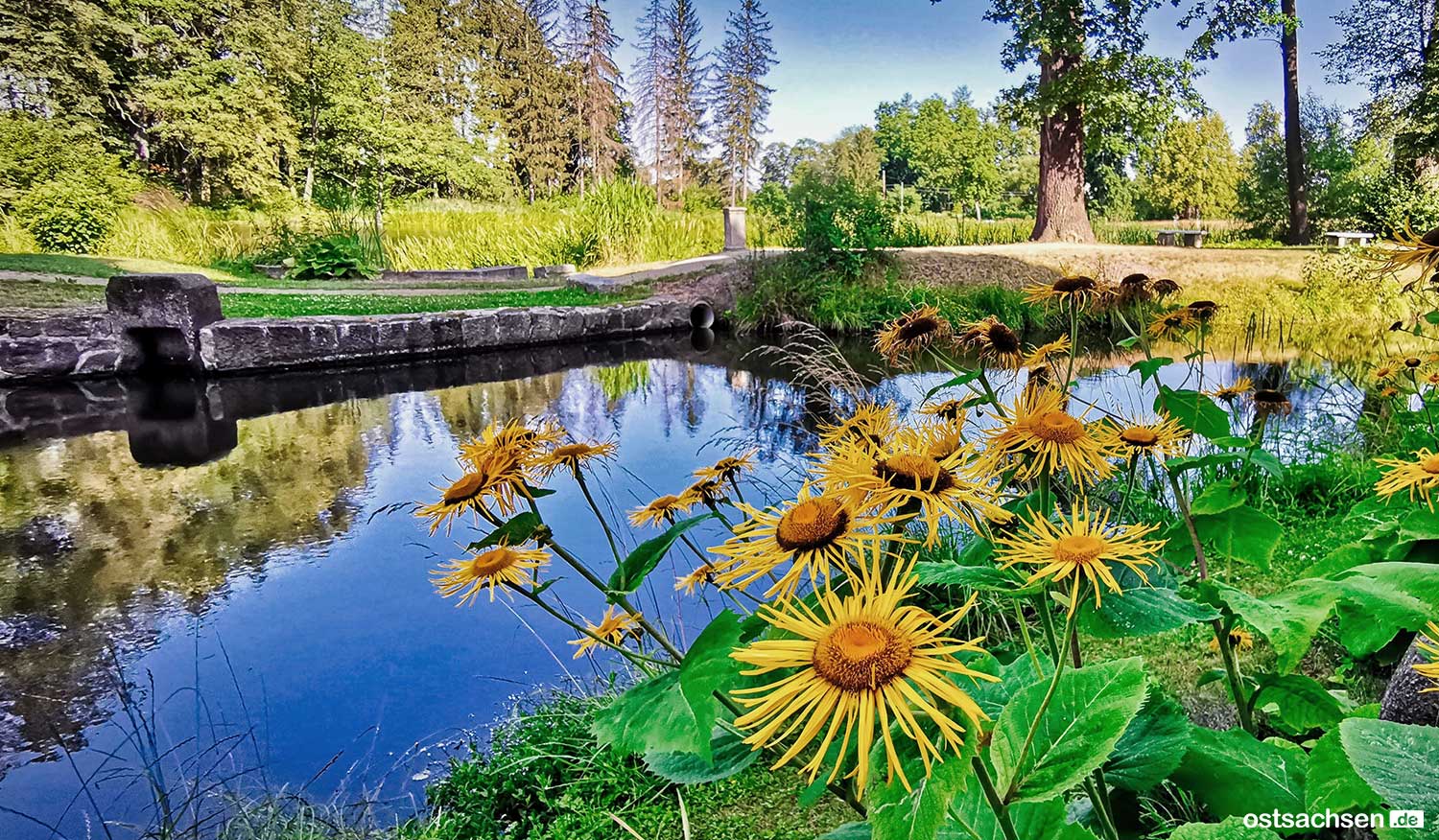 Hotel und Schloss Fischbach » Zamek Karpniki • Ostsachsen.de