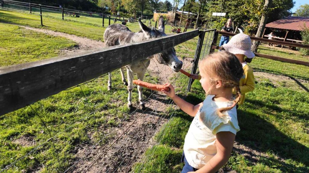 Freizeitpark und Campingpark Thräna 🦌 » Spielplatz und Tiere