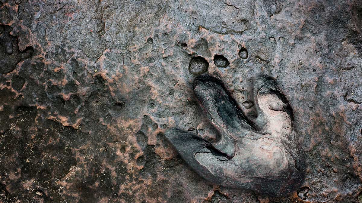 Elbe-Freizeitland Königstein mit Kindern erleben • Ostsachsen.de