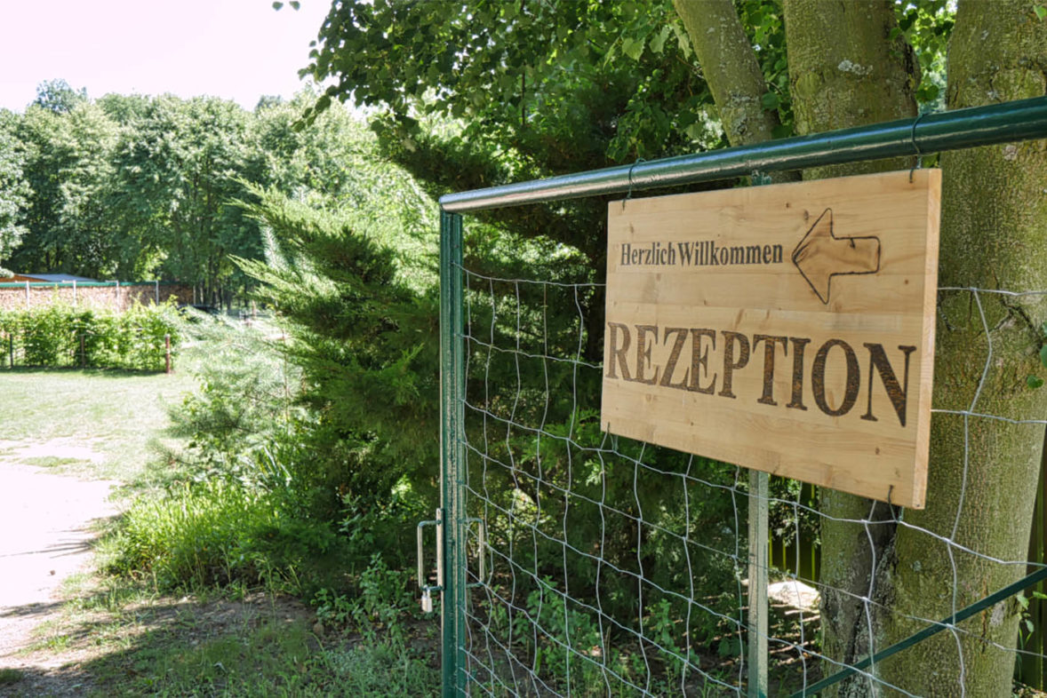 Freizeitpark und Campingpark Thräna 🦌 » Spielplatz und Tiere