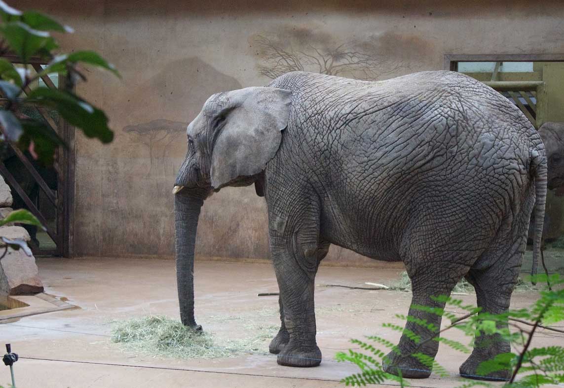 Warschau entdecken - Diese Sehenswürdigkeiten empfehlen wir • Ostsachsen.de